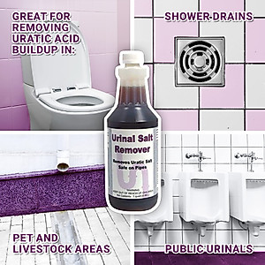 Detco Urinal Salt Remover Concentrate - Safe on Pipes and Plumbing, Odor Control, Cleans Rust, Scale, and Uratic Salt Build-Up, 1 Quart