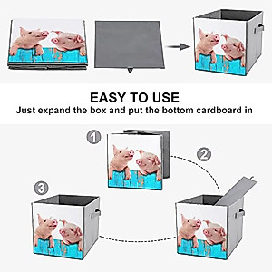 Funny Pig Collapsible Storage Bins Basics Folding Fabric Storage Cubes Organizer Boxes with Handles