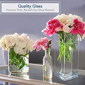Royal Imports Flower Glass Vase Decorative Centerpiece for Home or Wedding - Tall Rectangle Shape, 12" Tall, 5"x5" Opening