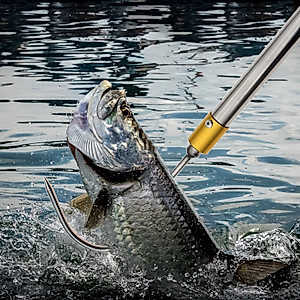 FREGITO Fishing Harpoon, Stainless Steel Fishing Barbed Spear Aluminum Alloy Rod Gig Gaff with 8mm Screw for Outdoor Fishing Landing Large Fish Frog (D-Prong, D-Prong)