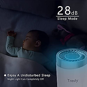 TREDY HEPA Filter Air Purifier for Home Large Room, H13 True HEPA Filter for Smoke, Dust, Hair, Pet Dander, Pollen, Ozone Free, Quiet, TD-1300