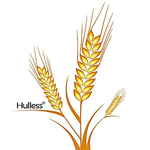 10.6 x 5.9 Inch Car Dashboard Anti Slide Mats Adhesive Pads for Cell Phone, Electronic Devices, Keys, Sunglasses, etc, 1 Pcs