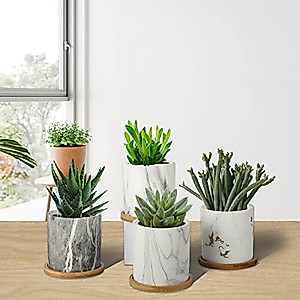 BUYMAX Succulent Plant Pots, 3.1 inch Marbling Ceramic Glazed Planters with Drainage Hole, Small Flower Pot Indoor with Bamboo Tray for Cactus, House Office Decor Gift - 6 Pack (Marble-B)