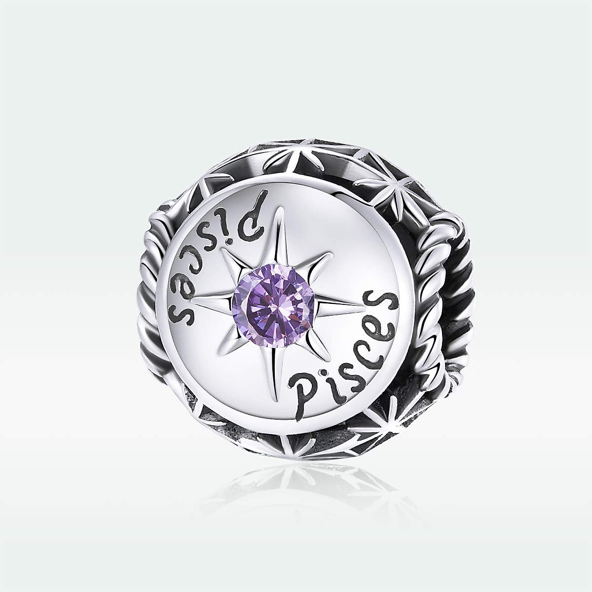 Pisces Constellation Charm 925 Sterling Silver Birthstone Charm Anniversary Charm Love Charm Lucky Charm for Pandora Charm Bracelet (Pisces (2.19-3.20))