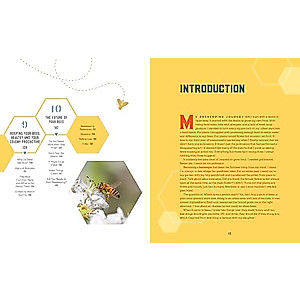 Beekeeping for Beginners: How To Raise Your First Bee Colonies