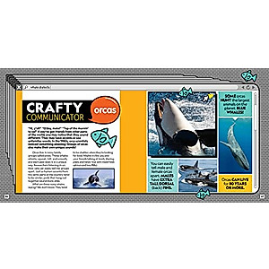 Critter Chat: What if Animals Used Social Media?