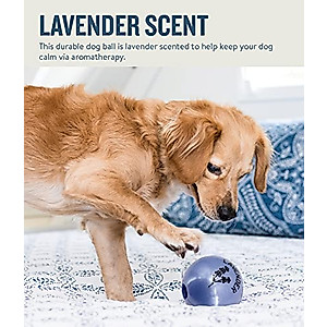 Planet Dog Orbee-Tuff Essentials Lavender Scented Interactive Dog Ball Treat Dispenser Toy, Purple
