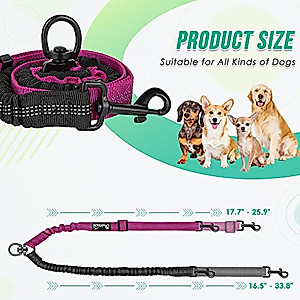 AUTOWT Two Dog Lead, 2 in 1 Upgraded Double Dog Leash Attachment Combine Adjustable Strap and Shock Absorbing Bungee No Tangle Dual Training Splitter for Different Size Dogs