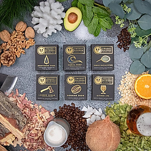 Swanky Badger Coral Reef