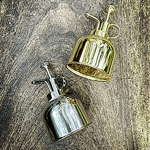 LOOPSEED Stainless Steel Plant Mister Spray Bottle Watering Can for Indoor Plants Succulent Bonsai Garden Spray Houseplant Spritzer Modern Garden Tools 10oz/300ml (GOLD)