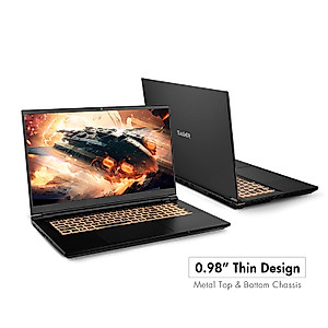 Sager 2023 NP8875D Gaming Laptop, 17.3 Inch QHD 240Hz 100% DCI-P3 G-Sync, Intel i9-13900HX, RTX 4060 8GB, 32GB RAM, 2TB Gen4 NVMe SSD, Win 11