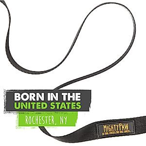 Mighty Paw Long Dog Leash | Pet Lead for Off-Leash Recall Training. Premium Quality Nylon Tie Out , Includes a Buckled Padded Handle. Great for Yard, Camping and Training. (15 Feet, Black)