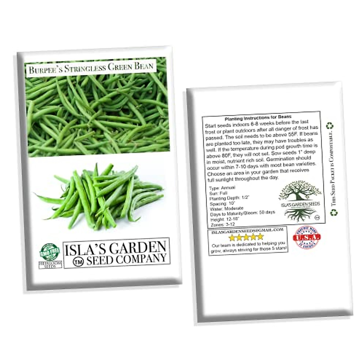 Burpee Stringless Green Bean Seeds for Planting, 50+ Heirloom Seeds Per Packet, (Isla's Garden Seeds), Non GMO Seeds, Botanical Name: Phaseolus vulgaris, 85% Germination Rates, Great Home Garden Gift