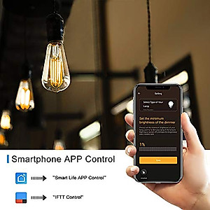 Smart Outdoor Dimmer, WiFi Plug-in Light Dimmer Switch for LED String Light, Wireless Remote Control Dimming-350W, Outdoor Plug Works with Alexa Google Home, IP44 Waterproof/Timer by Smartphone