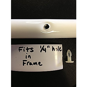 2" Wide Vinyl Strap for Patio Pool Lawn Garden Furniture 20' Roll_ Make Your Own Replacement Straps. Plus - 20 Free Fasteners! (201 White)