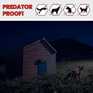 RUN-CHICKEN Door (Gray) Solar Chicken Coop Door, Battery Powered Automatic Chicken Coop Door, Programmable Electric Chicken Door with Timer, Light Sensor, Solar Powered, Eternal