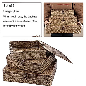 Hipiwe Flat Wicker Basket Bins with Lid - Set of 3 Handwoven Seagrass Storage Basket Shelf Baskets Boxes Multipurpose Home Organizer Bins Boxes for Shelf Pantry Closet,Large Size 14.8"x13"