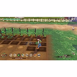 Story of Seasons: A Wonderful Life - Nintendo Switch