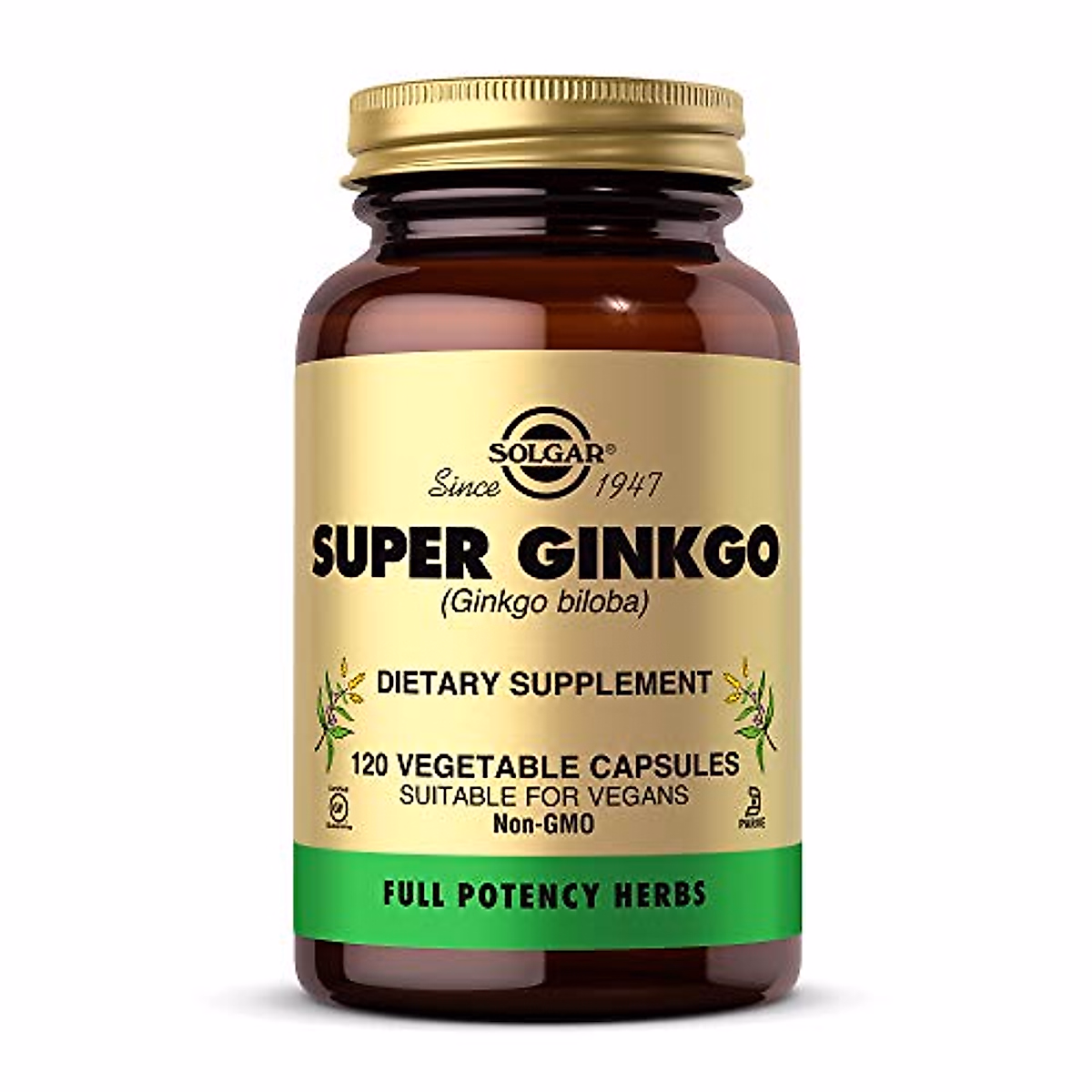 Solgar Super Ginkgo, 120 Vegetable Capsules - Full Potency (FP) - Antioxidant & Nervous System Support - Brain Health - Non-GMO, Vegan, Gluten Free, Dairy Free, Kosher - 120 Servings