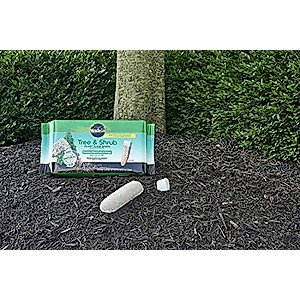 Miracle-Gro Tree & Shrub Fertilizer Spikes - 12 PK - Pack 2