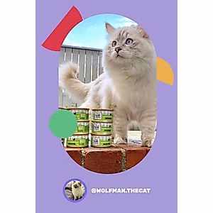 "I and love and you" Naked Essentials Canned Wet Cat Food - Grain Free, Cod + Chicken, 5.5-Ounce, Pack of 12 Cans