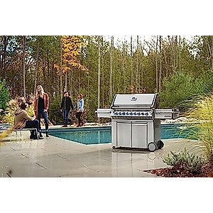 Napoleon PRO665RSIBNSS-3 Prestige PRO RSIB Natural Gas Grill, 665 sq.in. + Infrared Side and Rear Burners, Stainless Steel