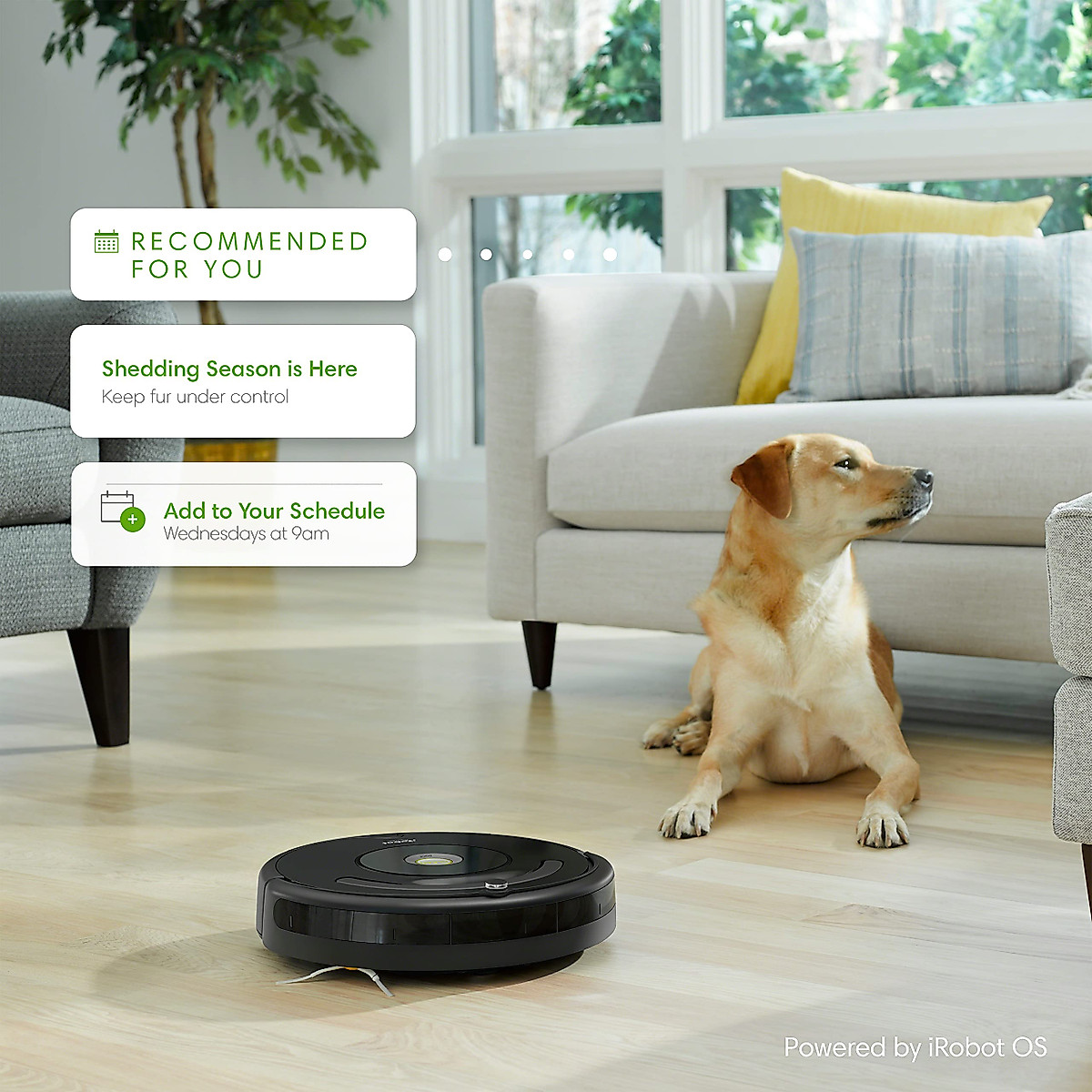 iRobot Roomba 671 Robot Vacuum with Wi-Fi Connectivity, Works with Alexa, Good for Pet Hair, Carpets, and Hard Floors
