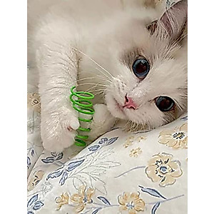 ISMARTEN Cat Spring Toy (100 Pack ), Interactive Cat Toy for Indoor Cats, Lightweight Durable Plastic, Plastic Cat Coil for Kittens to Swat, Bite, Hunt
