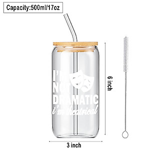 Theater Gifts, Musical Theater Gifts, Broadway Gifts for Directors, Actors, Music Teachers, Musicians on Birthday Christmas - 17 Oz Drinking Glass Iced Can Glass Cup with Bamboo Lid and Straw