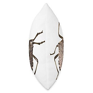 Beetles Funny Bugs T-Shirt Stink Bug Entomology Insects Funny T-Shirt Throw Pillow, 16x16, Multicolor