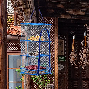 Cunno 4 Pcs Herb Drying Rack 4 Layer Hanging Drying Net Folding Fish Mesh with Zippers Non Toxic Nylon Netting for Fish Vegetables Meat Herb Fruit Plants Net Dry Cage, Blue, 13.8 x 13.8 x 25.6 Inch