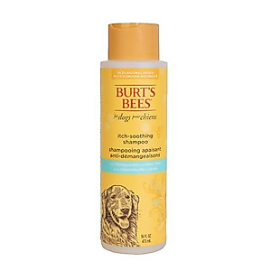 Burt's Bees for Pets Naturally Derived Itch Soothing Shampoo with Honeysuckle - Anti-Itch Dog Shampoo for All Dogs - Cruelty Free, Formulated without Sulfates and Parabens, Made in the USA, 16 Ounces