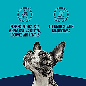Stewart Single Ingredient Freeze Dried Raw Dog Treats, Chicken Breast, 3 Ounce Resealable Pouch, Training Treats or Meal Topper for All Size Dogs, High Protein, Grain-Free, Gluten-Free