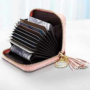 Coco Rossi Women's Small Credit Card Wallet RFID Glitter Bling Cute Accordion Card Holder with Zipper Pink