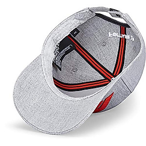 Formula 1 Tech Collection F1 Logo unisex-adult Hat Gray