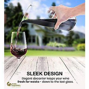 Wine Squirrel Wine Preserving Glass Decanter | Keeps Wine Fresh for Weeks | Air Tight Luxury Wine Saver Carafe | Best Wine Gift