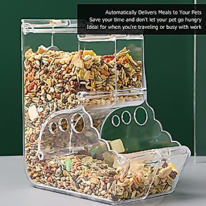 GLOGLOW Hamster Food Dispenser, Hamster Feeder Transparent Toxic Free Prevent Knock Over Automatic for Sugar Glider