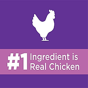 P L-RA IMS Proactive Health Healthy Kitten Dry Cat Food with Chicken, Omega-3 DHA, 100% Complete and Balanced Nutrition, 7 lb. Bag