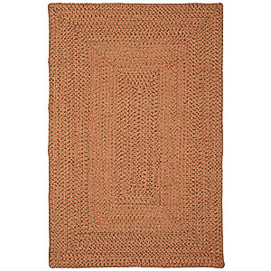 SAFAVIEH Braided Collection 4' x 6' Multi BRD166A Handmade Country Cottage Reversible Cotton Area Rug