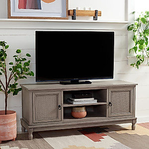 SAFAVIEH Home Collection Haines Greige 2-Door 1-Shelf Entertainment Stand up to 55" Flatscreen TV Media Unit