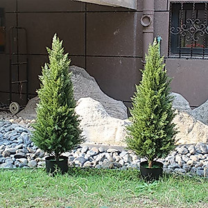Two 3 Foot Artificial Topiary Cedar Trees Artificial Potted Shrubs UV Resistant Bushes Plants for Indoor Outdoor