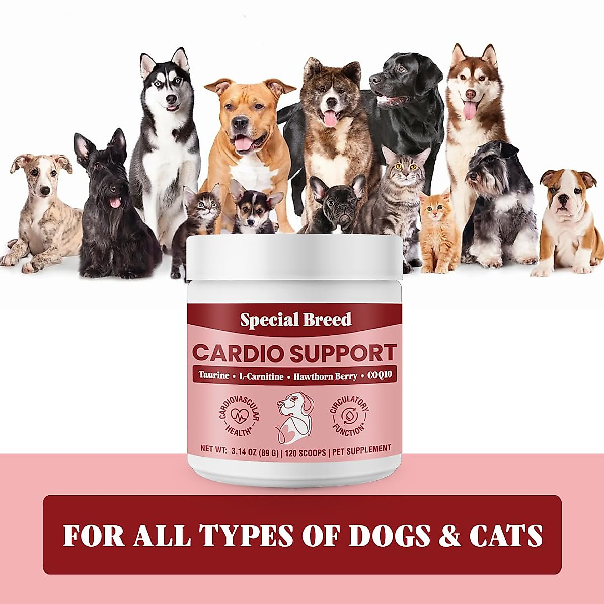 Special Breed Cardio Support for Dogs - Heart Health Support with Taurine, CoQ10, Organic Hawthorne Berry, Powder Supplement, 120 Scoops, 3.14 oz