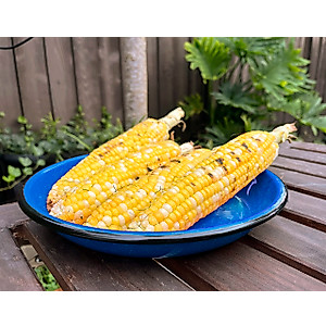 Red Co. Set of 4 Enamelware Metal 10” Round Camping Plates, White-Speckled Blue/Black Rim