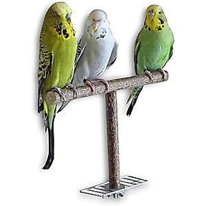 ShanLily Wood Bird Perches Parrot Stand Natural Perch Parakeet Toys Bird Cage Accessories for Bird Supplies Budgie Platform