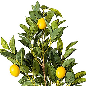 Vickerman Everyday 28" Artificial Potted Lemon Tree - Lifelike Home Or Office Decor - Premium Faux Potted Tree with Real Touch Leaves - Maintenance Free