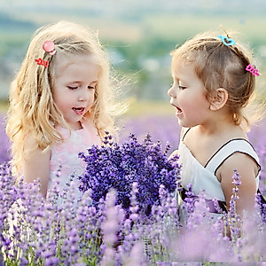 50 Pieces Plastic Barrettes Self Hinge Barrettes for Girl Mini Flower Bow Hair Colorful 80s 90s Cute Clip Multi Design Plastic Hair Pin in Candy Heart Star Shape Accessory(Classic Style)