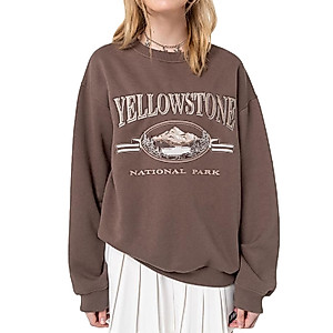 KOSUSANILL Women Graphic Crewneck Sweatshirt Y2k E Girl Aesthetic Vintage Printed 90s Streetwear Casual Long Sleeve Going Out Tops Pullover (Brown Letter, Large)