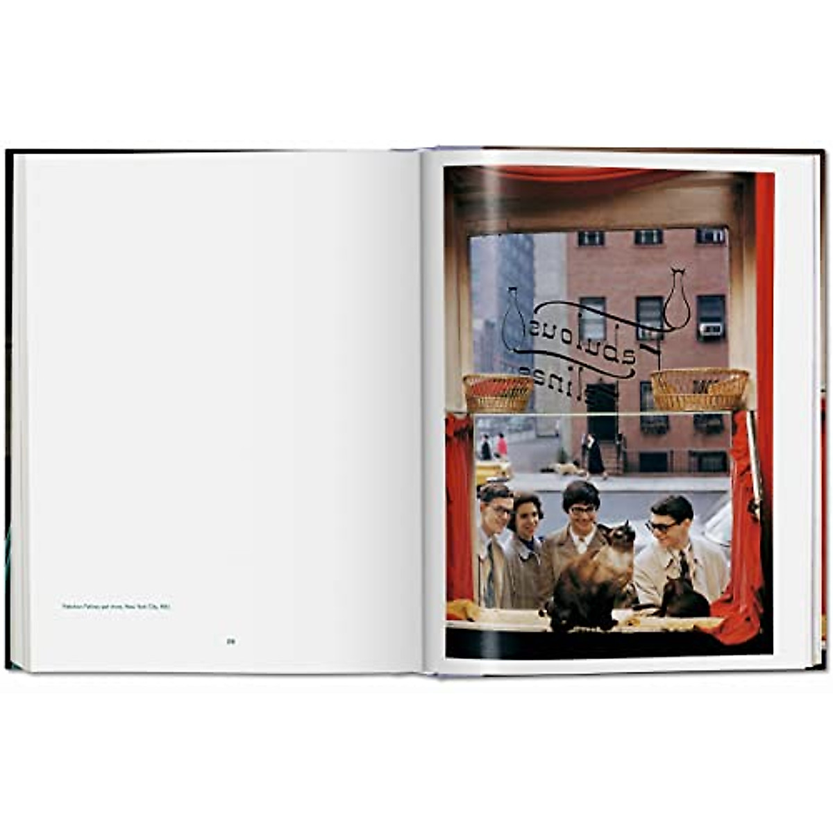 Cats: Photographs 1942 - 2018