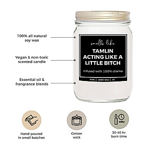 YouNique Designs Smells Like Tamlin Candle - Bookish Candles, Book Lovers Gifts, Book Themed Gifts for Book Lovers Women, Book Club Gifts Ideas, Reading Themed Gifts (Lavender & Vanilla)