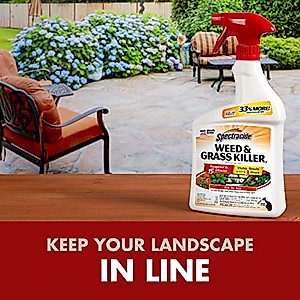 Spectracide Weed & Grass Killer 2, Use On Driveways, Walkways and Around Trees and Flower Beds, 32 fl Ounce Spray